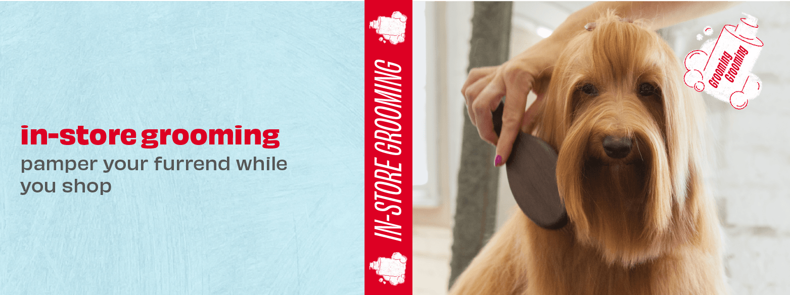 In Store Grooming | The Pet Shop
