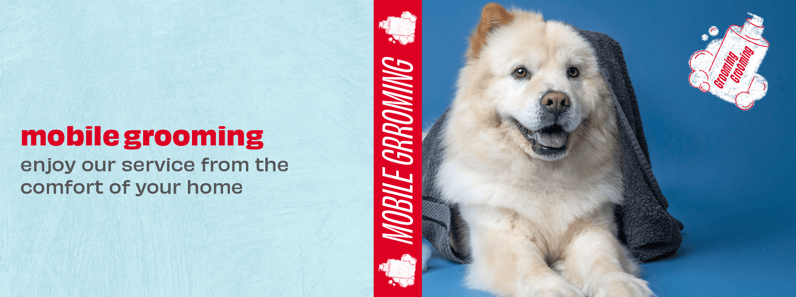 Mobile Grooming | The Pet Shop