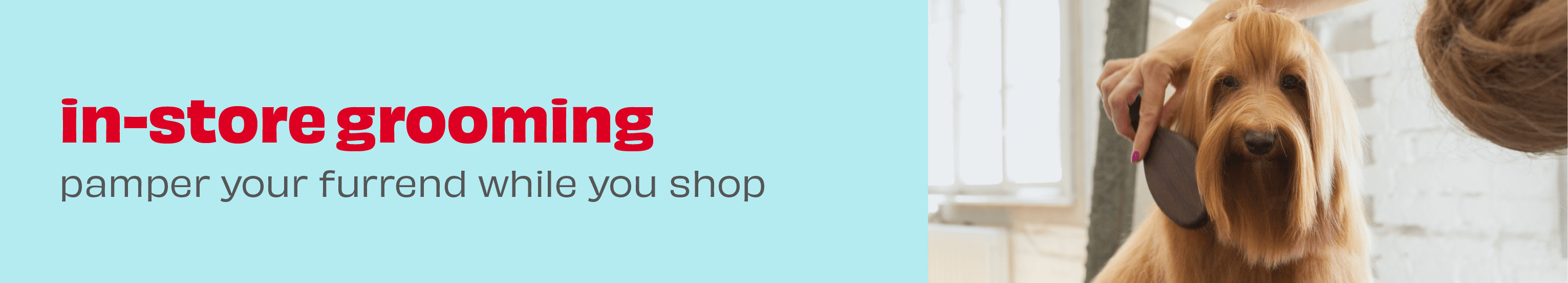 In Store Grooming | The Pet Shop
